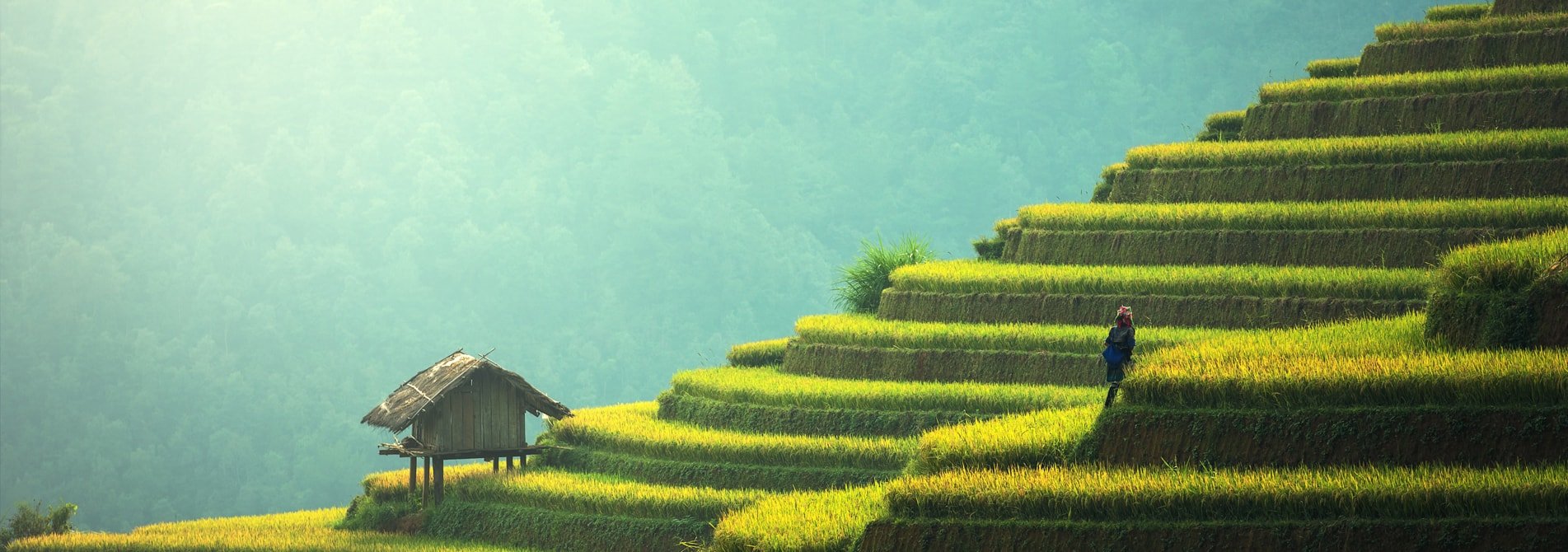 University Trips for Students | Higher Education | Studylink
